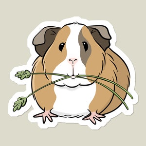 Guinea Pig Vinyl Sticker | Cavy Lover Laptop Sticker | Cute Animal ...