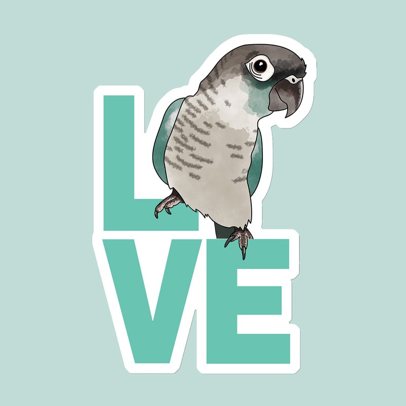 Conure Vinyl Decal - Etsy