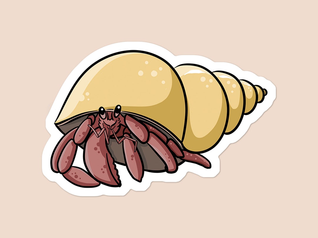 Hermit Crab Vinyl Sticker | Laptop Sticker | Water Bottle Sticker | Car ...