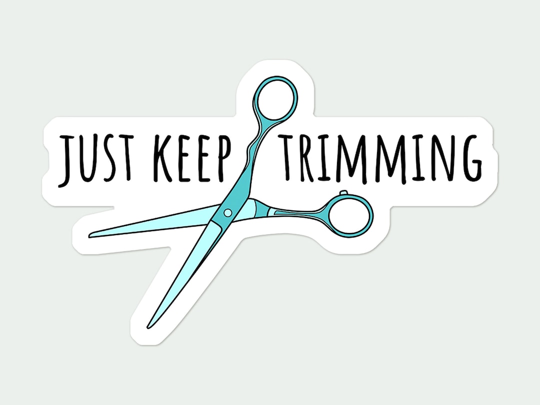 Hair Stylist Hairdresser Vinyl Sticker | Beauty Salon Scissors Decal ...