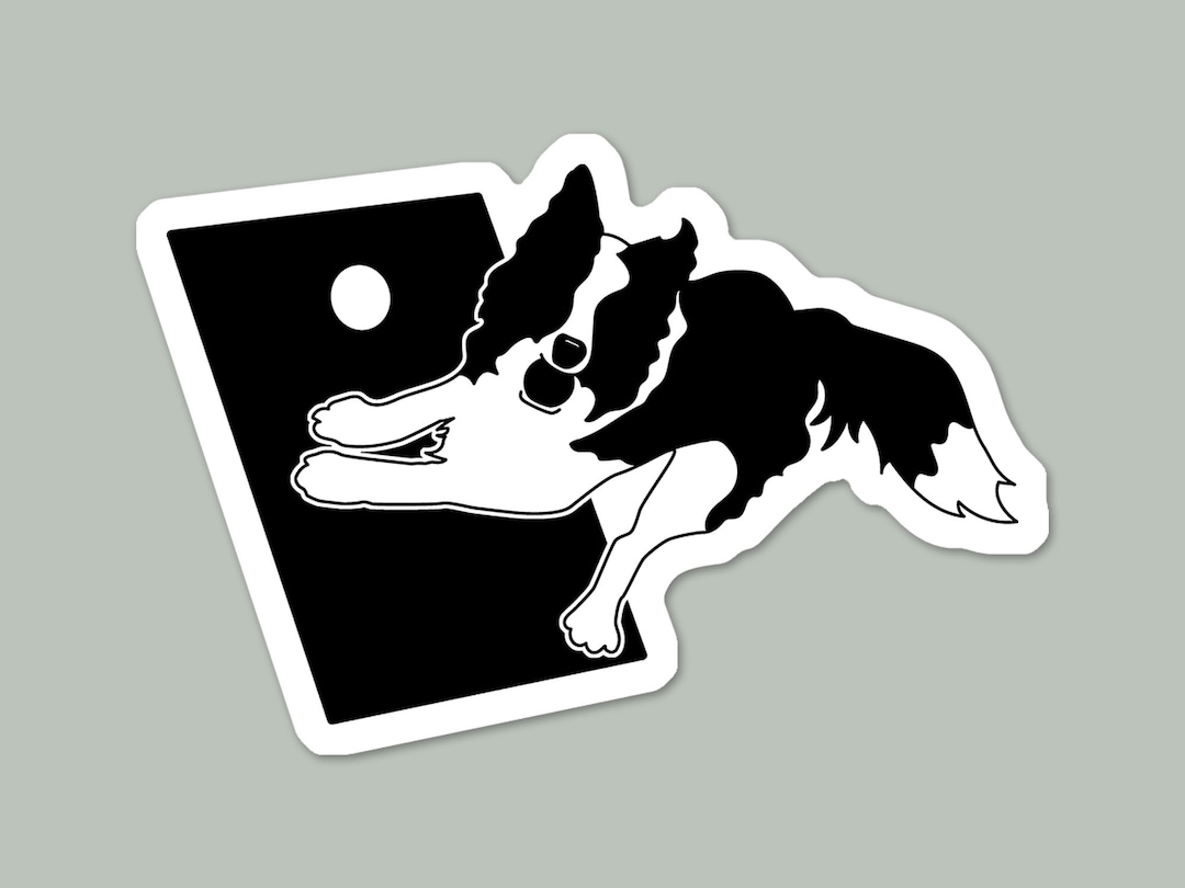 Flyball Border Collie Dog Sport Vinyl Sticker | Dog Agility Laptop ...