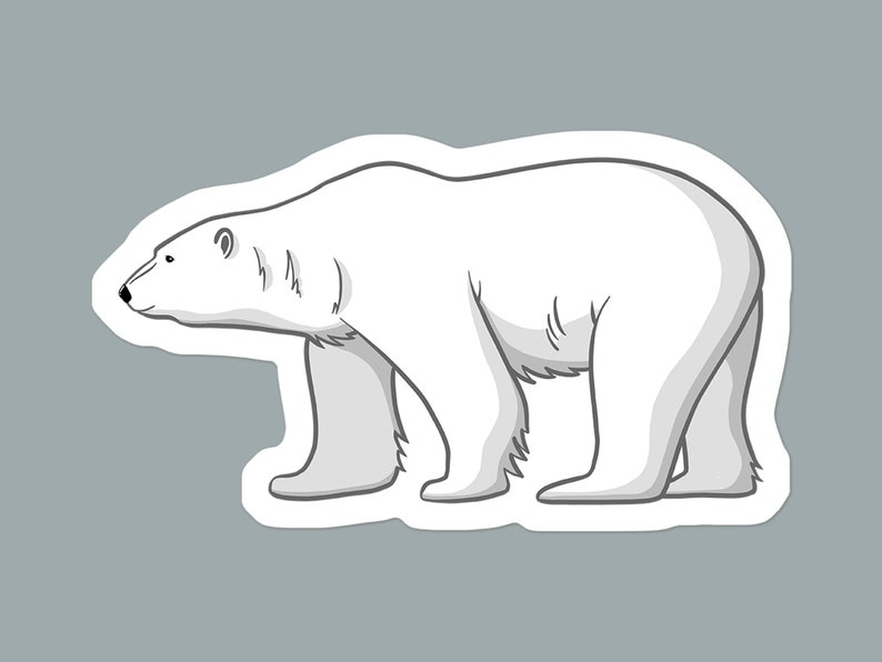 Polar Bear Arctic Animals Vinyl Sticker Water Bottle Sticker - Etsy