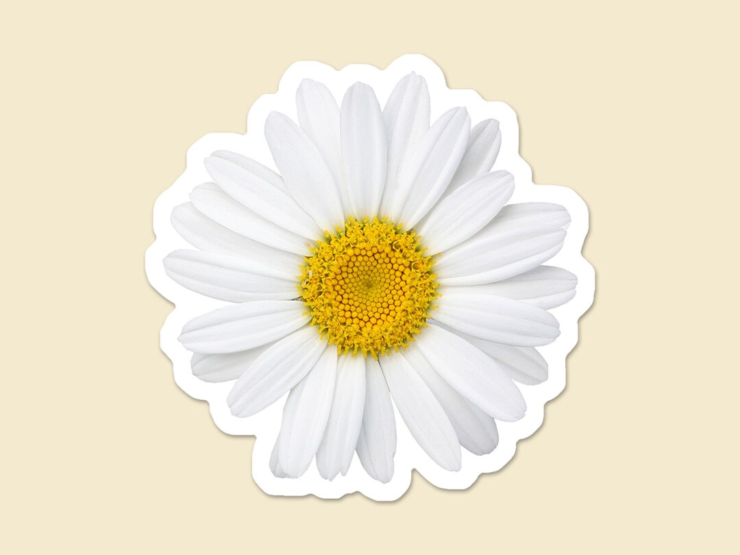 Daisy Flower Power Sticker | White Flower Waterproof Vinyl Sticker ...
