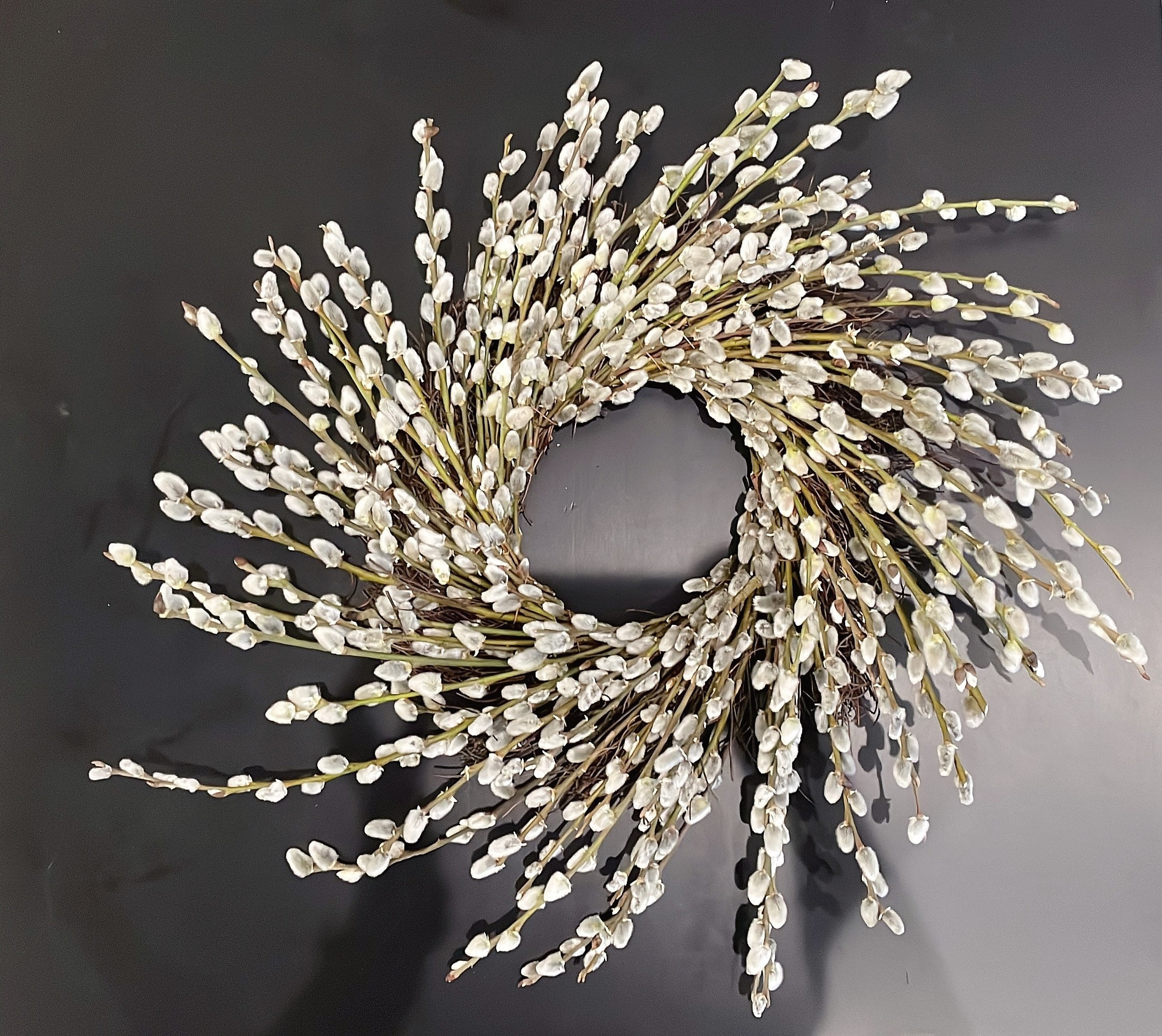 Pure-pussy Willows Wreaths diameter: 22inches Plus - Etsy