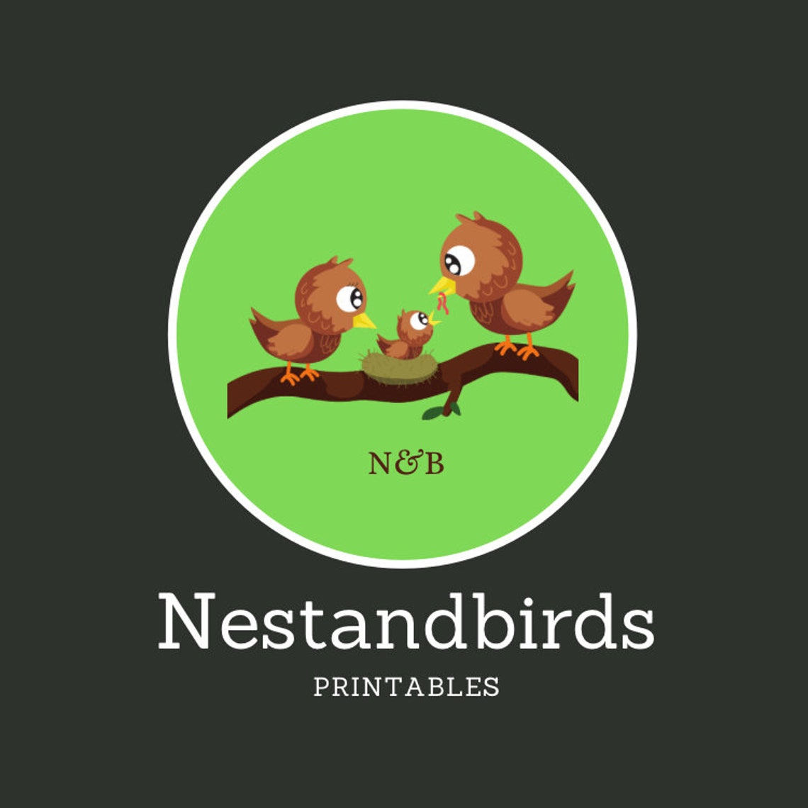 Albert Einstein Biography Research Project Display Board School Project ...