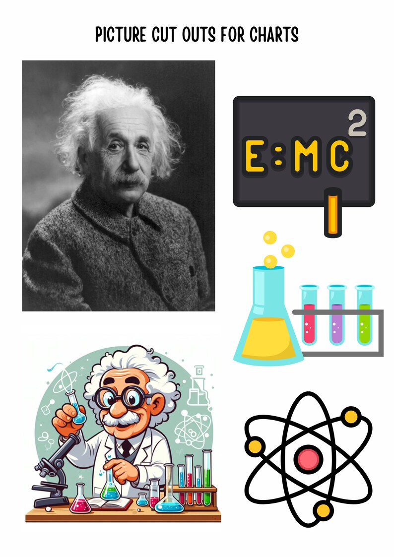Albert Einstein Biography Research Project Display Board School Project ...