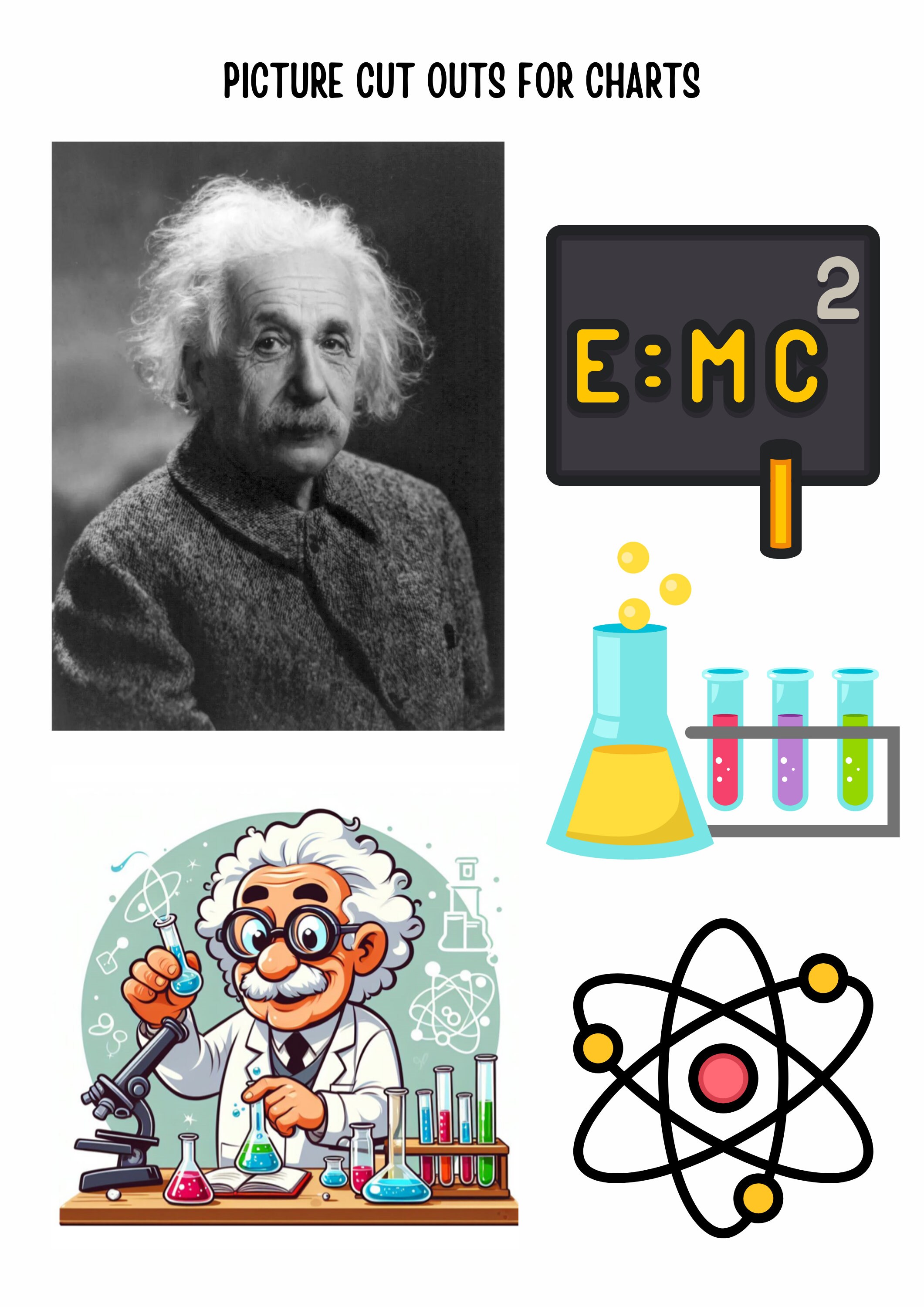 Albert Einstein Biography Research Project Display Board School Project ...