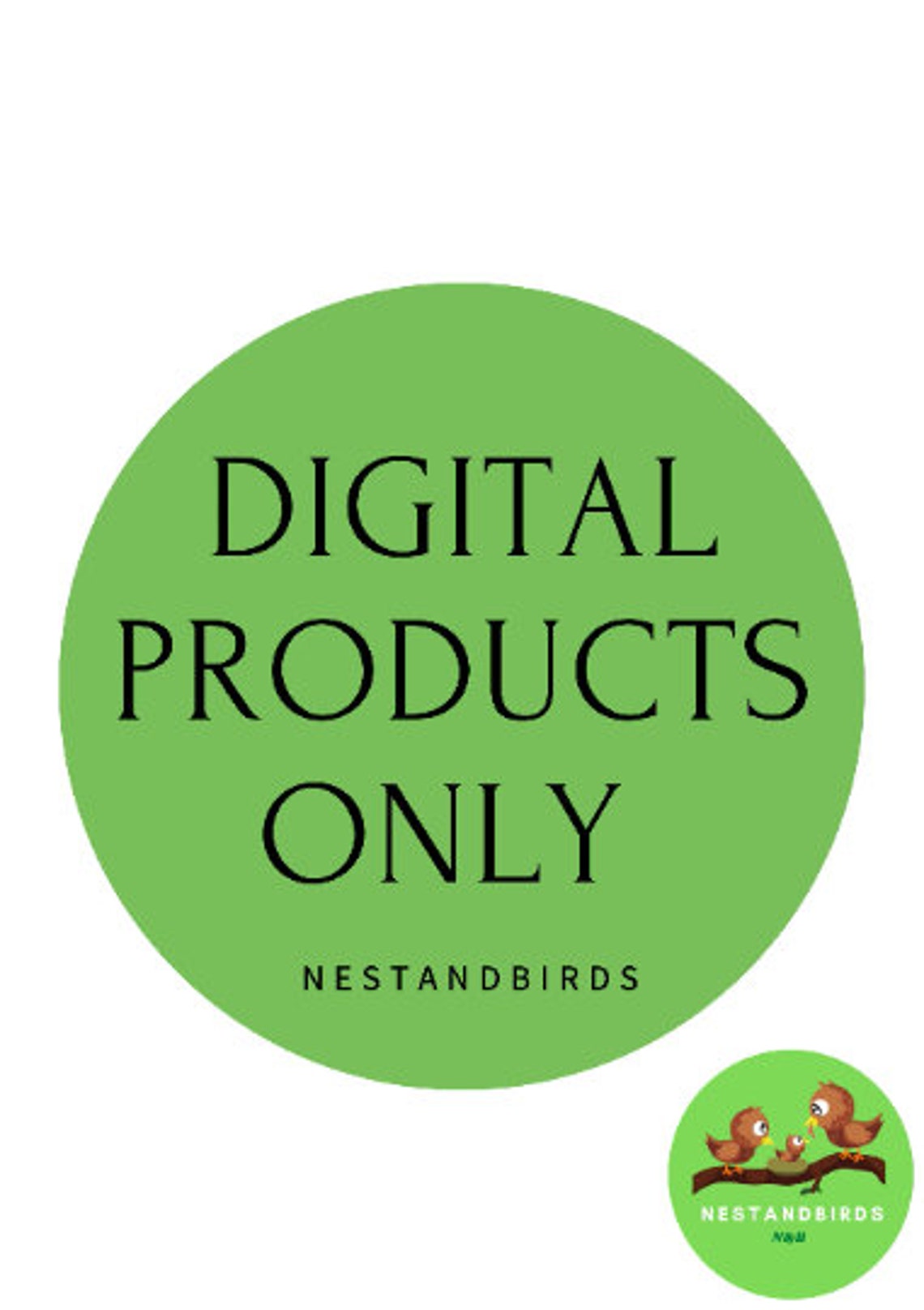 Albert Einstein Biography Research Project Display Board School Project ...