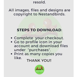 Albert Einstein| Biography Research Project | Display Board School ...