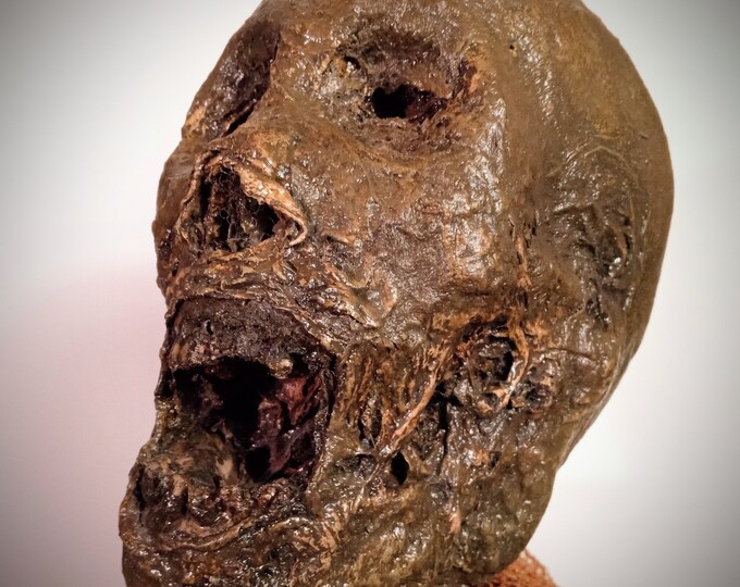 Lifesize Sideshow Oddity Corpse Zombie Skull - Etsy