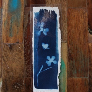 Nature's Healing Cyanotype Original Bookmarks - Etsy