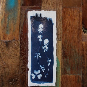 Nature's Healing Cyanotype Original Bookmarks - Etsy
