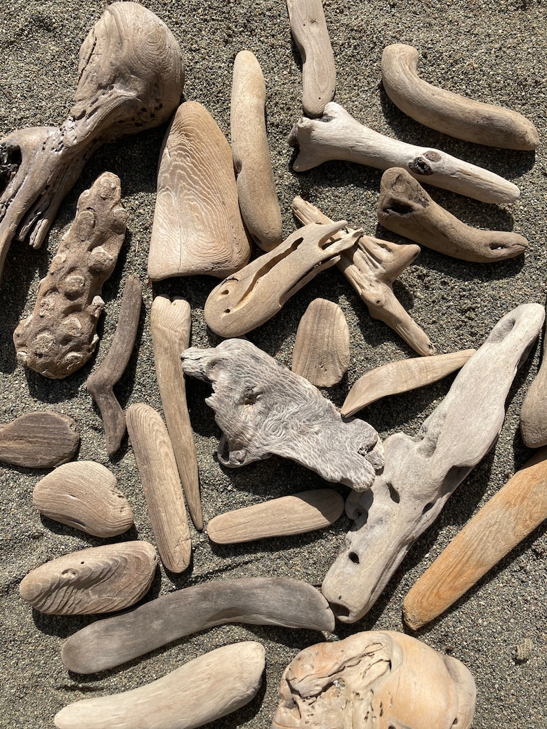 25 Driftwood Pieces of Random Drift Wood Craft Supplies - Etsy
