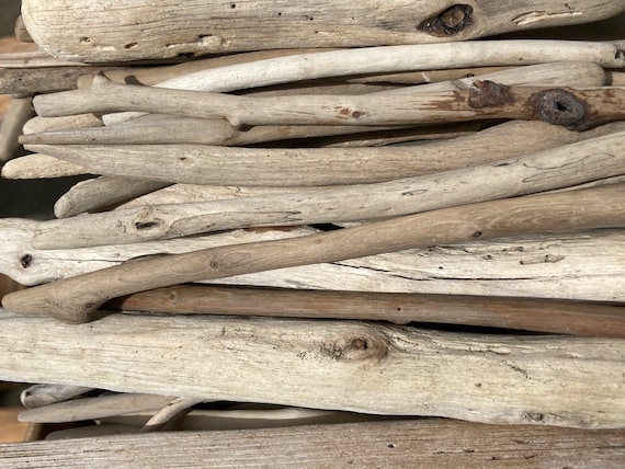 Bundle of 612 Long California Coast Driftwood Bulk - Etsy