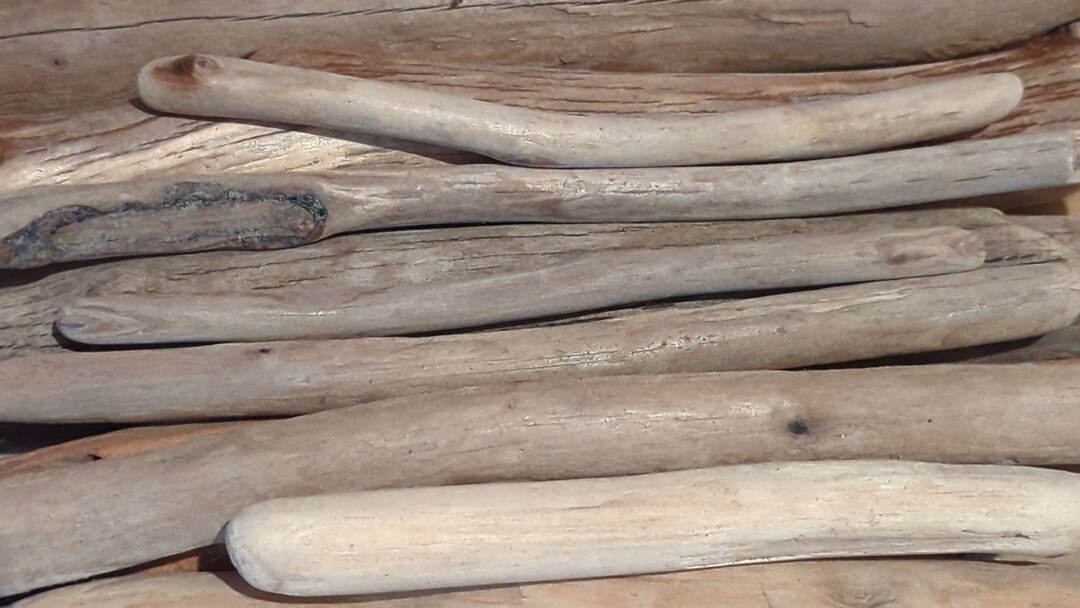 Bundle of 10”-12” Long Pieces California Coast Driftwood, Bulk ...