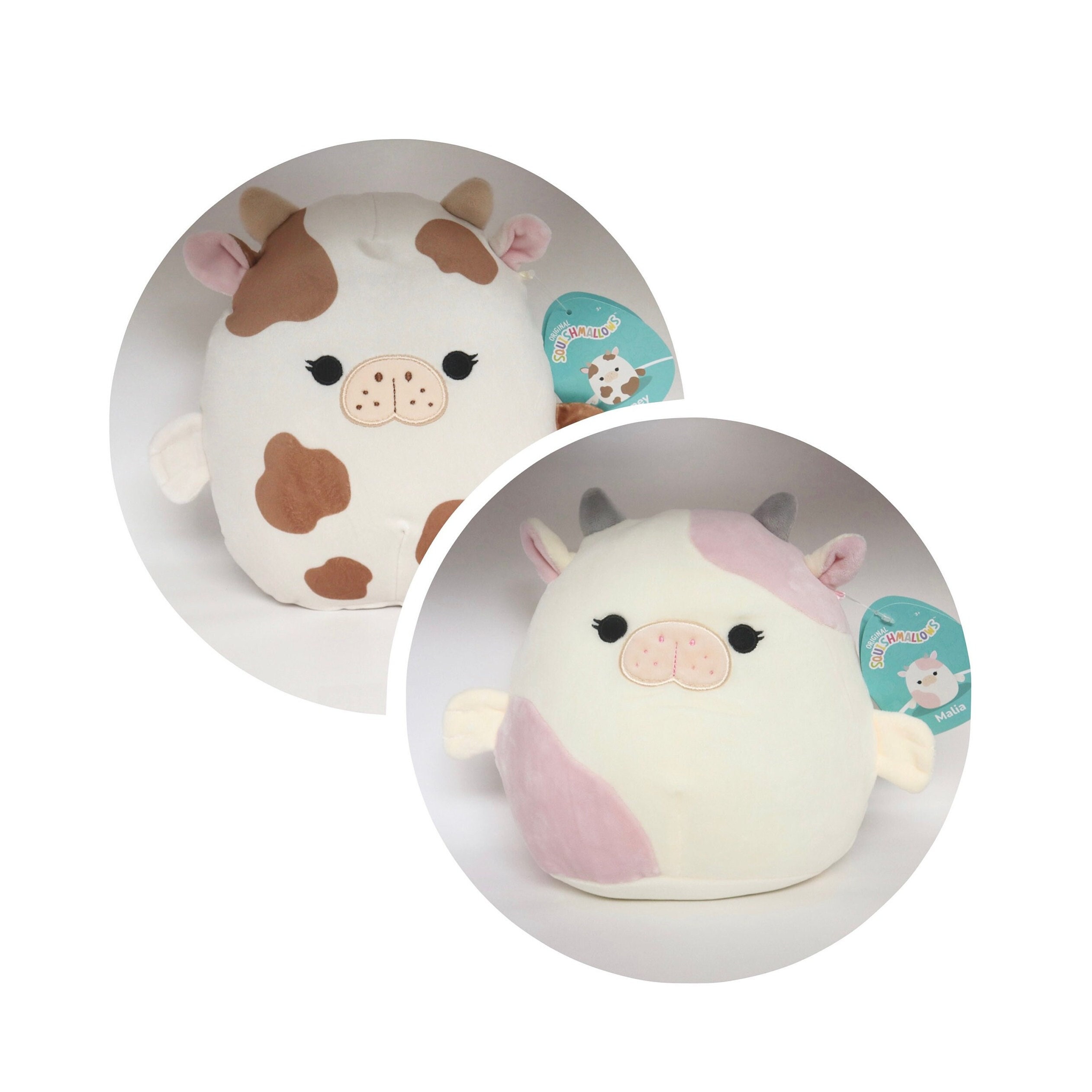 Mopey and Malia squishmallow bundle - munimoro.gob.pe