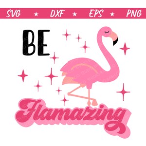 Flamingo You Are Flamazing SVG - Cute Flamingo Quotes - Cricut ...