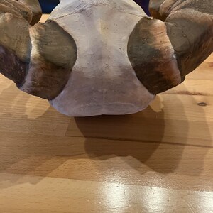 Deathclaw Skull - Fallout Prop, Gamer Decor, Unique Geek/nerd Gift Many ...