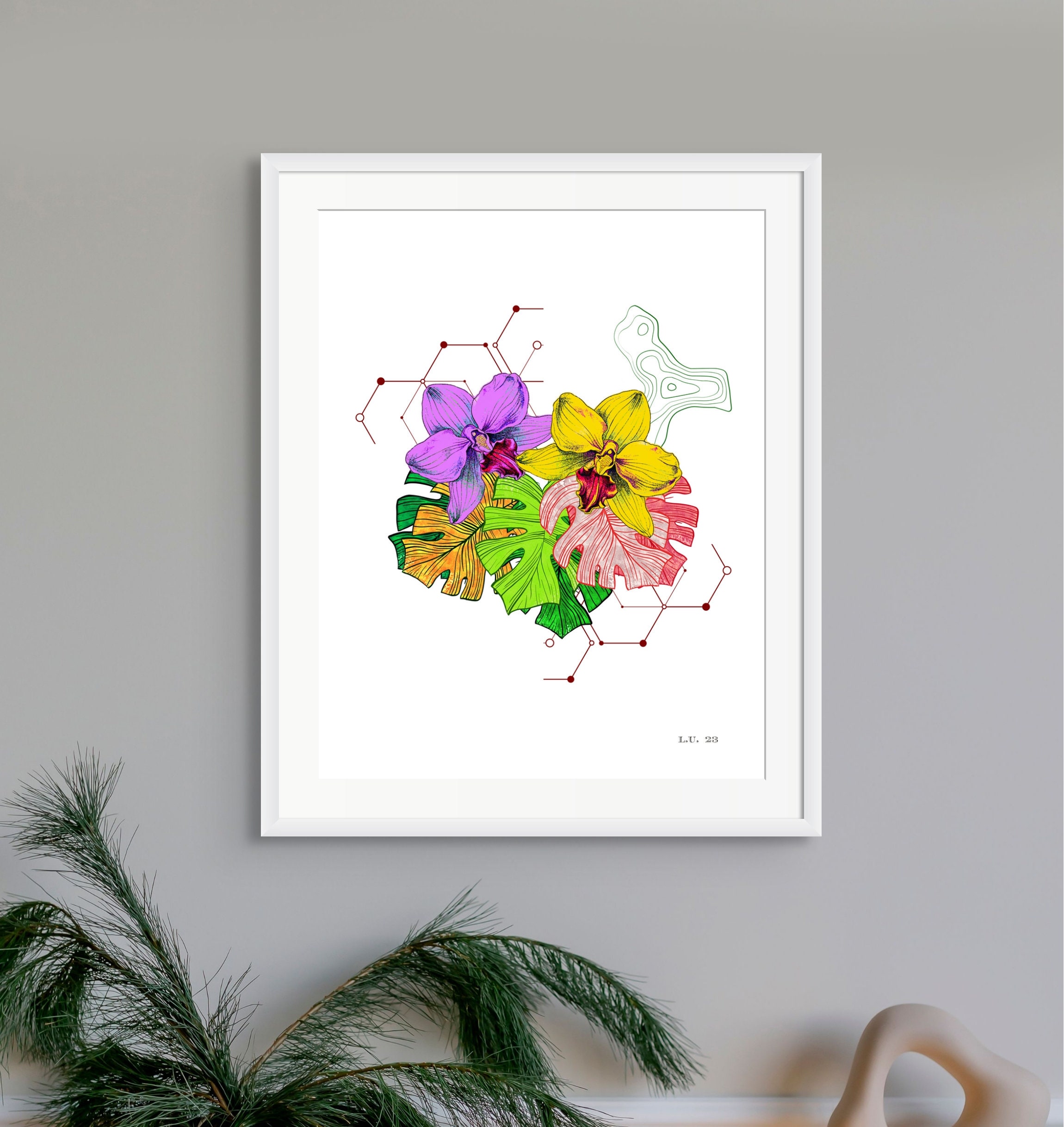 Exotic Orchids & Colorful Monsteras: Geometric Lines and Topographical ...