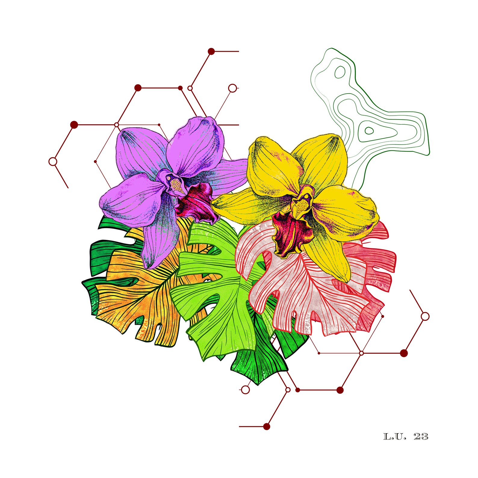 Exotic Orchids & Colorful Monsteras: Geometric Lines and Topographical ...