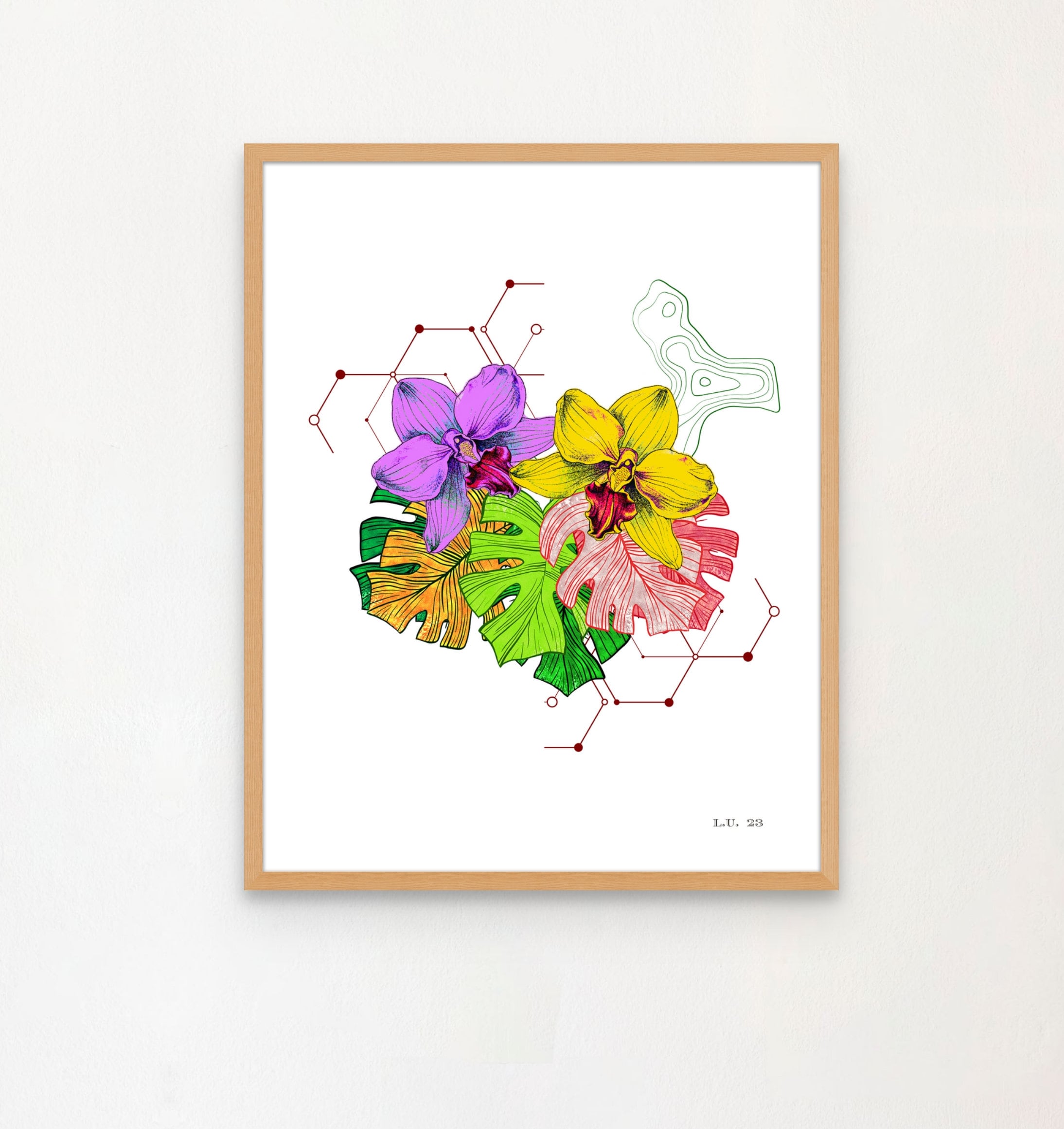 Exotic Orchids & Colorful Monsteras: Geometric Lines and Topographical ...
