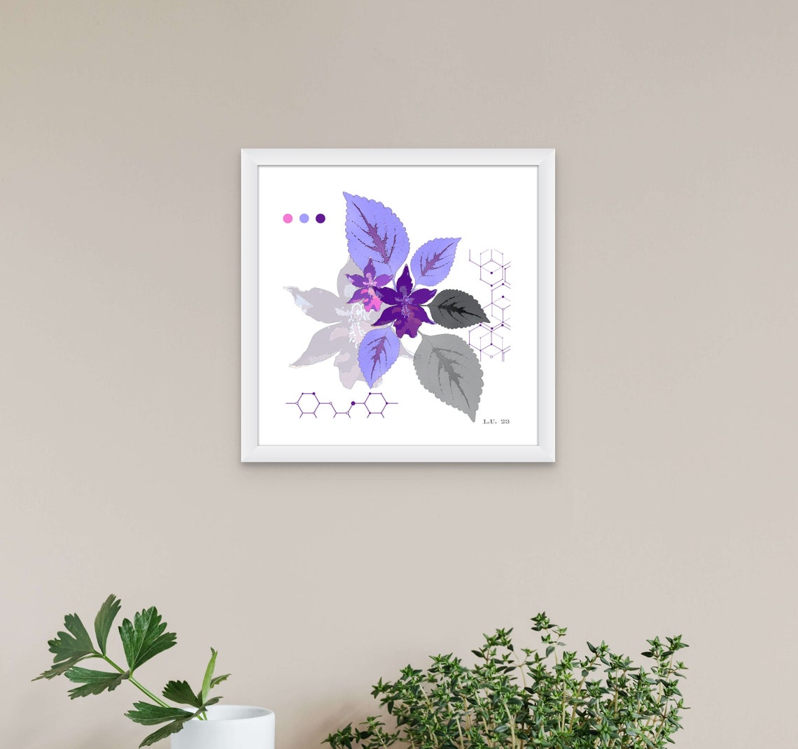 Seductive Purple Orchids: Gray and Lilac Coleus Leaves With Subtle Geometric Patterns ...
