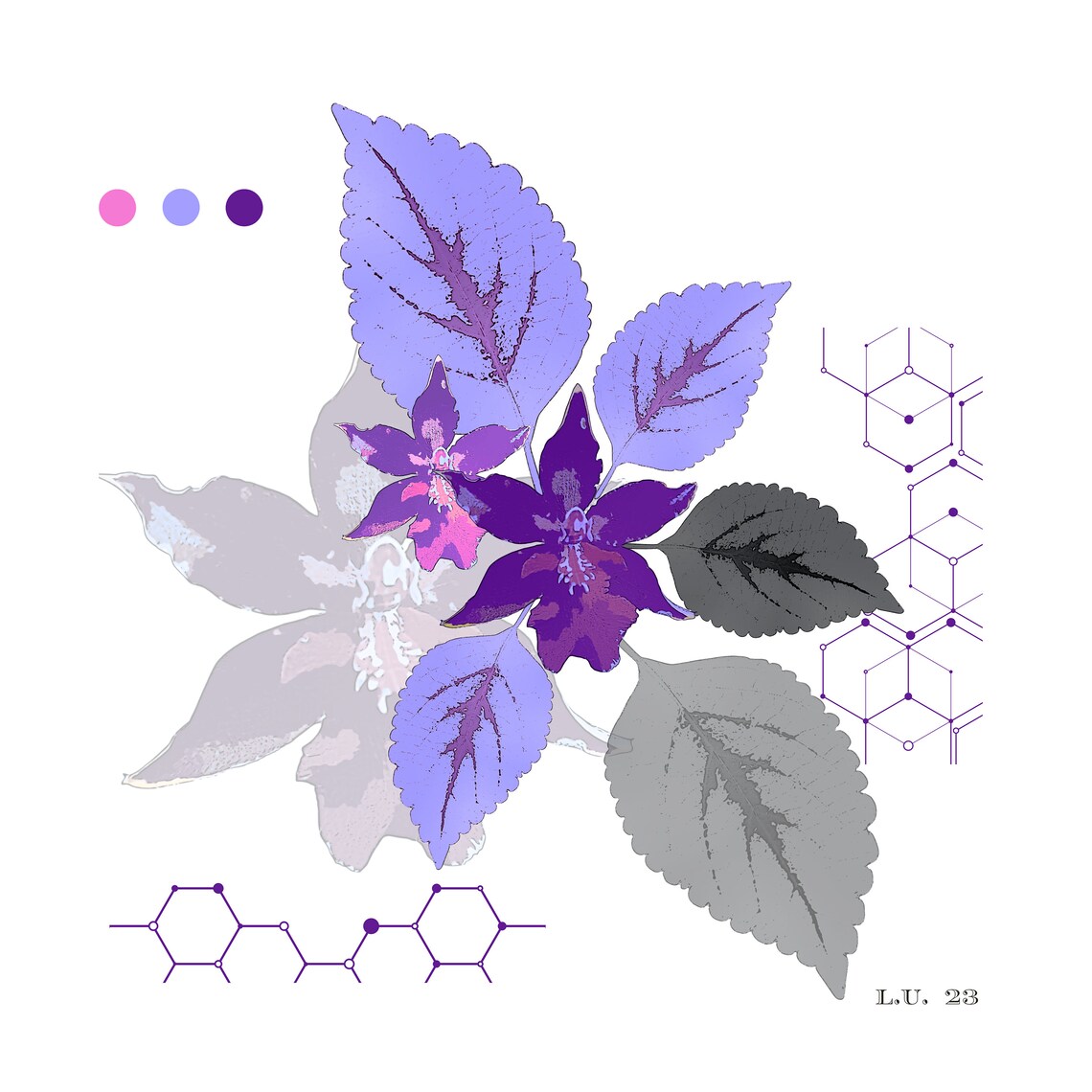 Seductive Purple Orchids: Gray and Lilac Coleus Leaves With Subtle ...