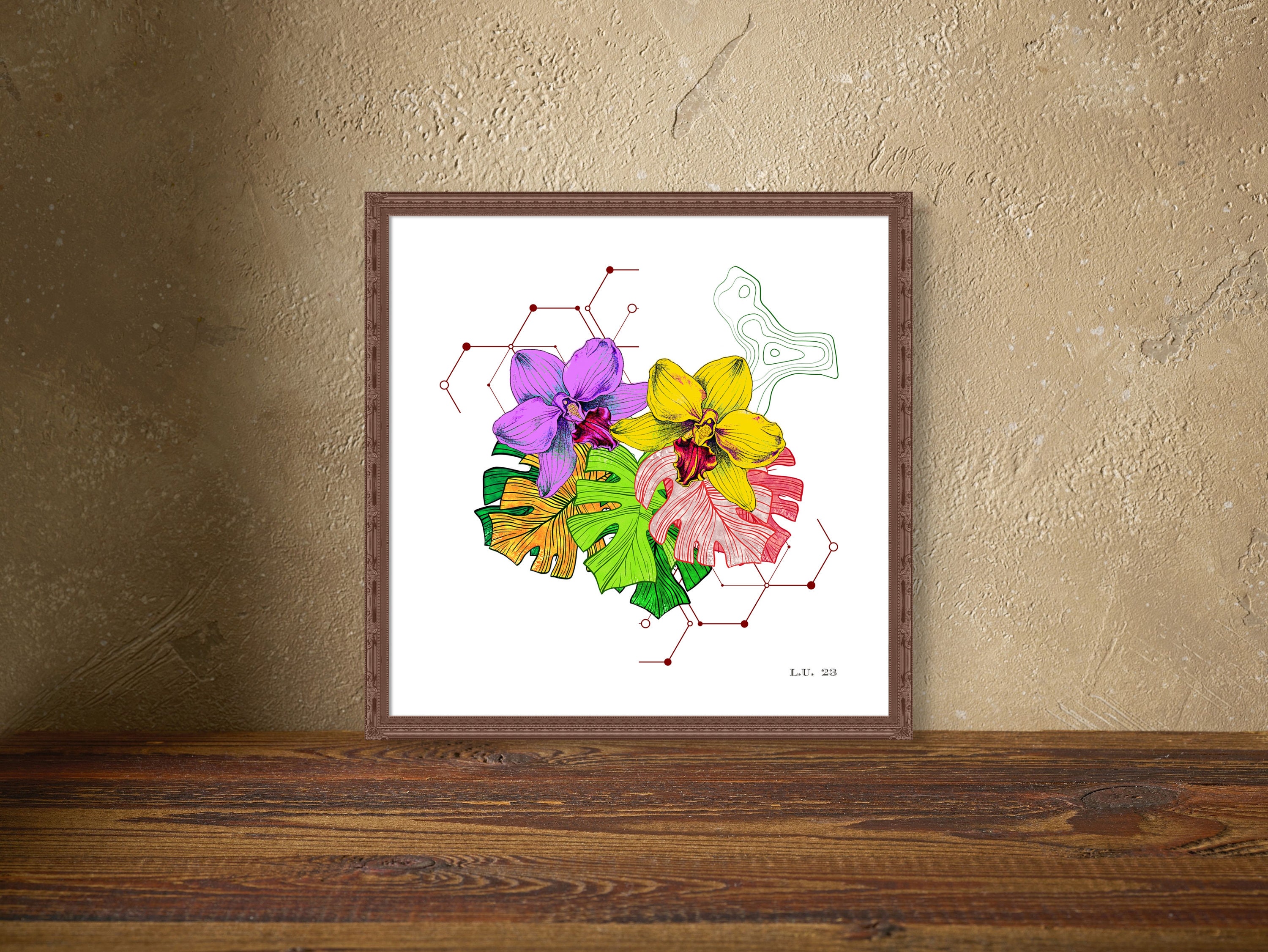 Exotic Orchids & Colorful Monsteras: Geometric Lines and Topographical ...