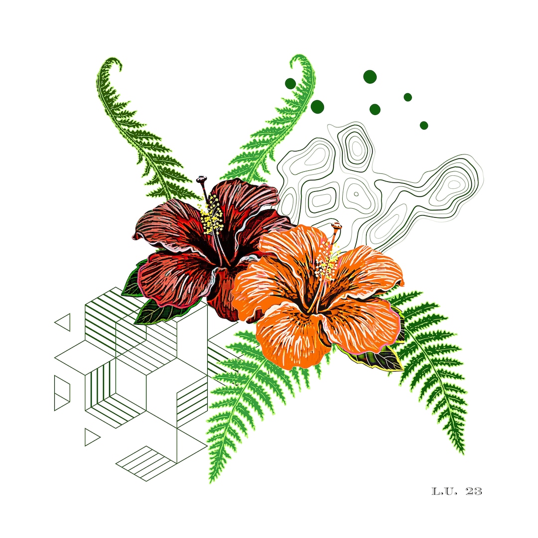 Radiant Orange & Maroon Hibiscus: Elegant Geometric Patterns With Perky ...