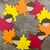 Fall Wreath Craft Kitcardstock Paper Craft for Kids Fall Crafts Kids ...