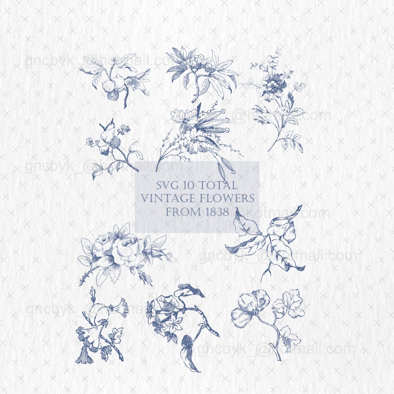 Vintage Floral Vector Clip Art: 1838 Botanical Flowers (PDF & SVG) - Etsy