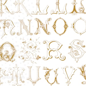 One Letter Monogram, Initials, Single Letter Monogram, Family Crest ...