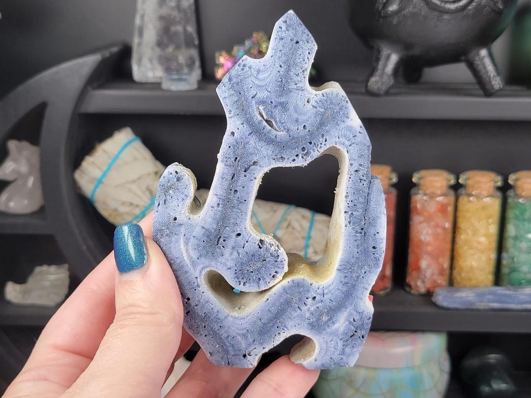 Unique Blue Coral Freeform - Crystal Freeform - Healing Crystal - Etsy