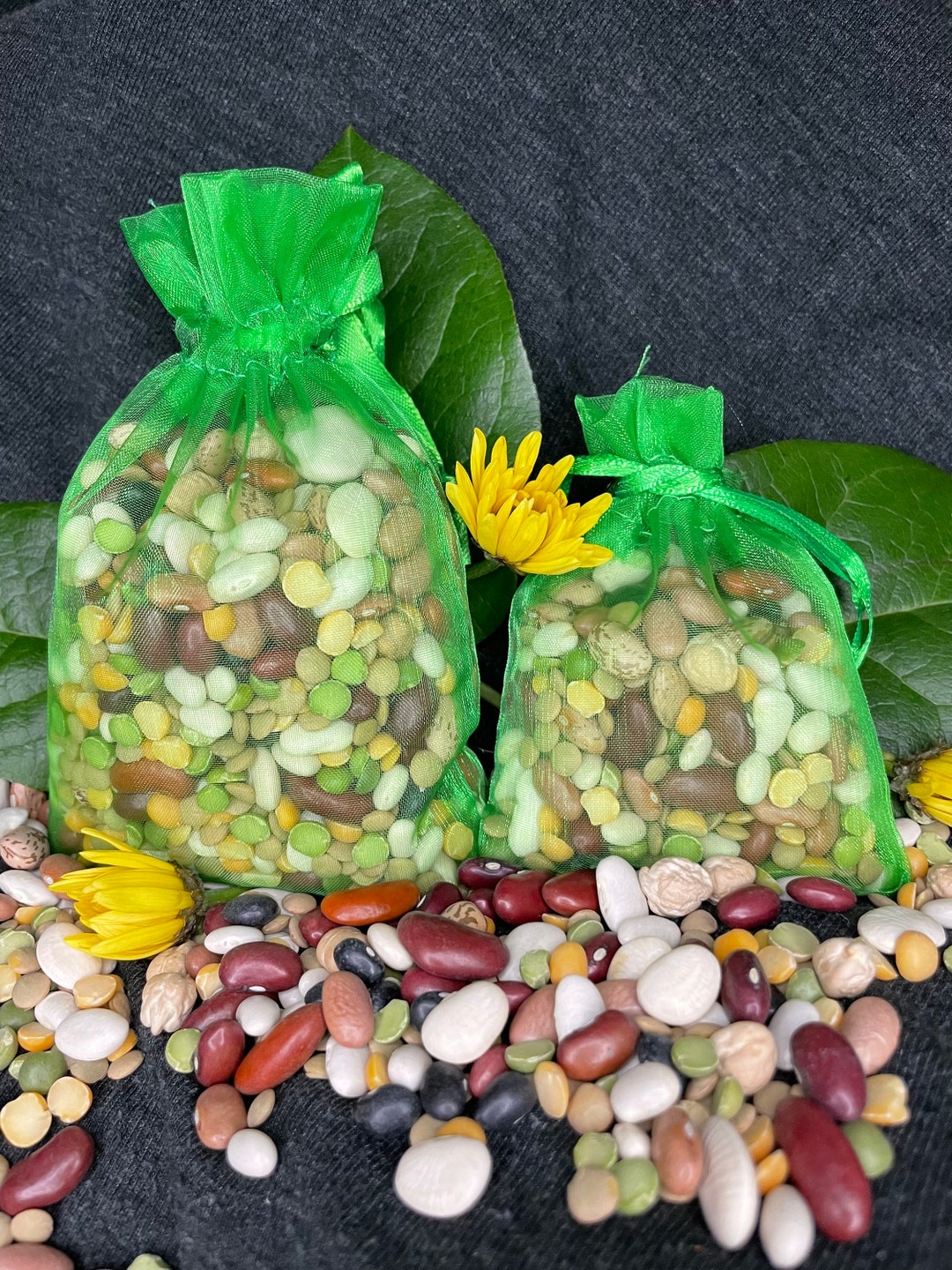 Abundance Beans Sachet Emerald Green - Etsy