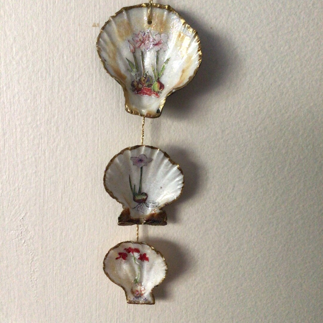 Seashell Window Hanger. Painted Shells. Decoupaged. Wall - Etsy