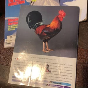 5 Vintage 89s and 90s Powder Magazines - Etsy