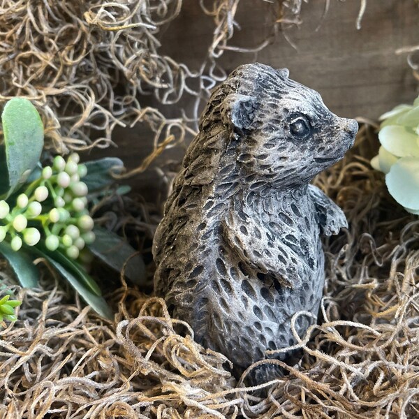 Hedgehog Statue - Etsy