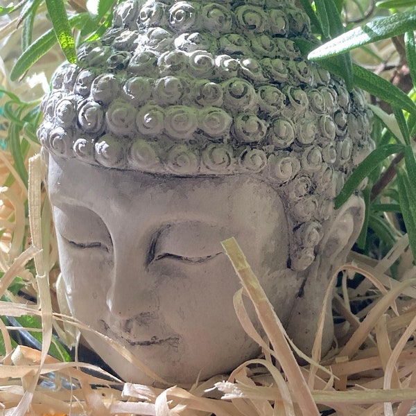 Concrete Buddha - Etsy