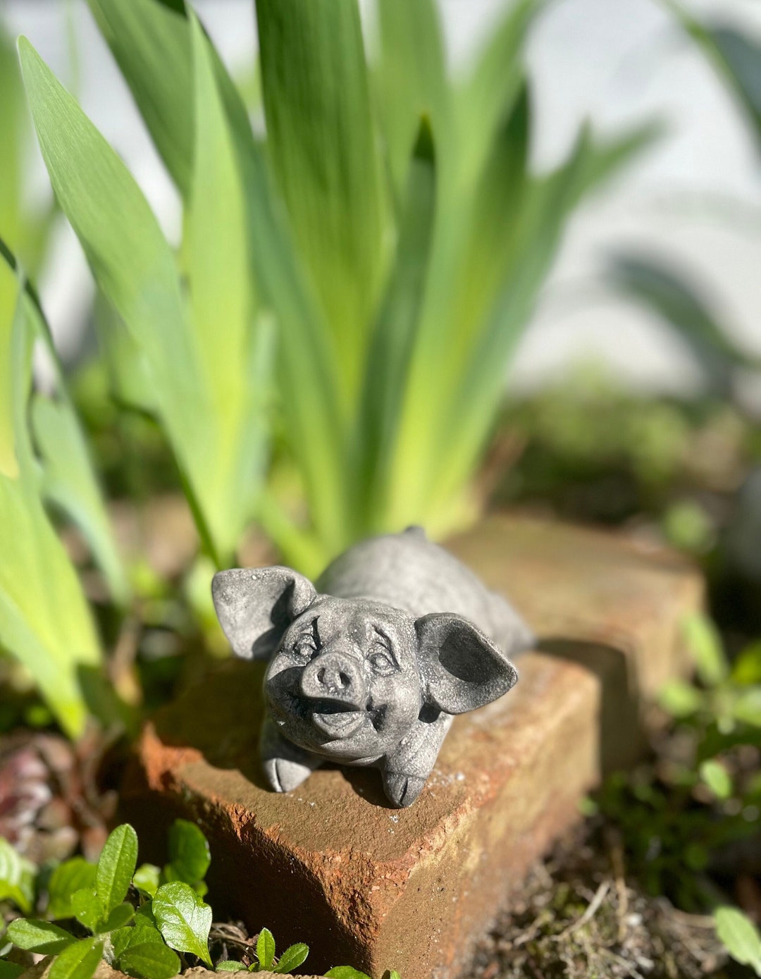 Concrete Pig Statue Cement Figurine Pig Gifts Pig Decor Cement Pig Farm ...