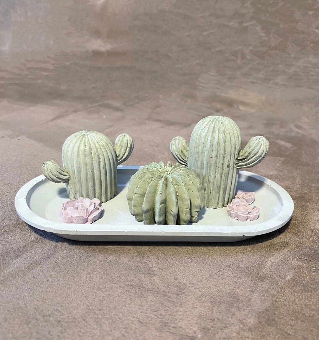 Modern Green Cactus Plants | Cactus Decor | Cacti Set | Desk Decor ...