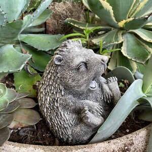 Happy Hedgehog Garden Statue | Large Cement Laughing Hedgehog Garden ...
