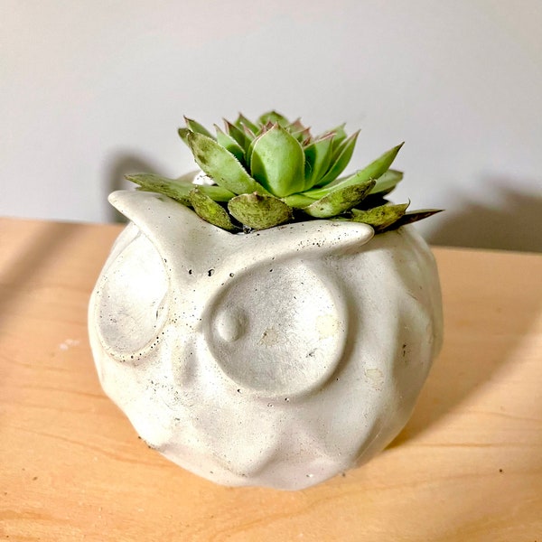 Owl Flower Pot - Etsy