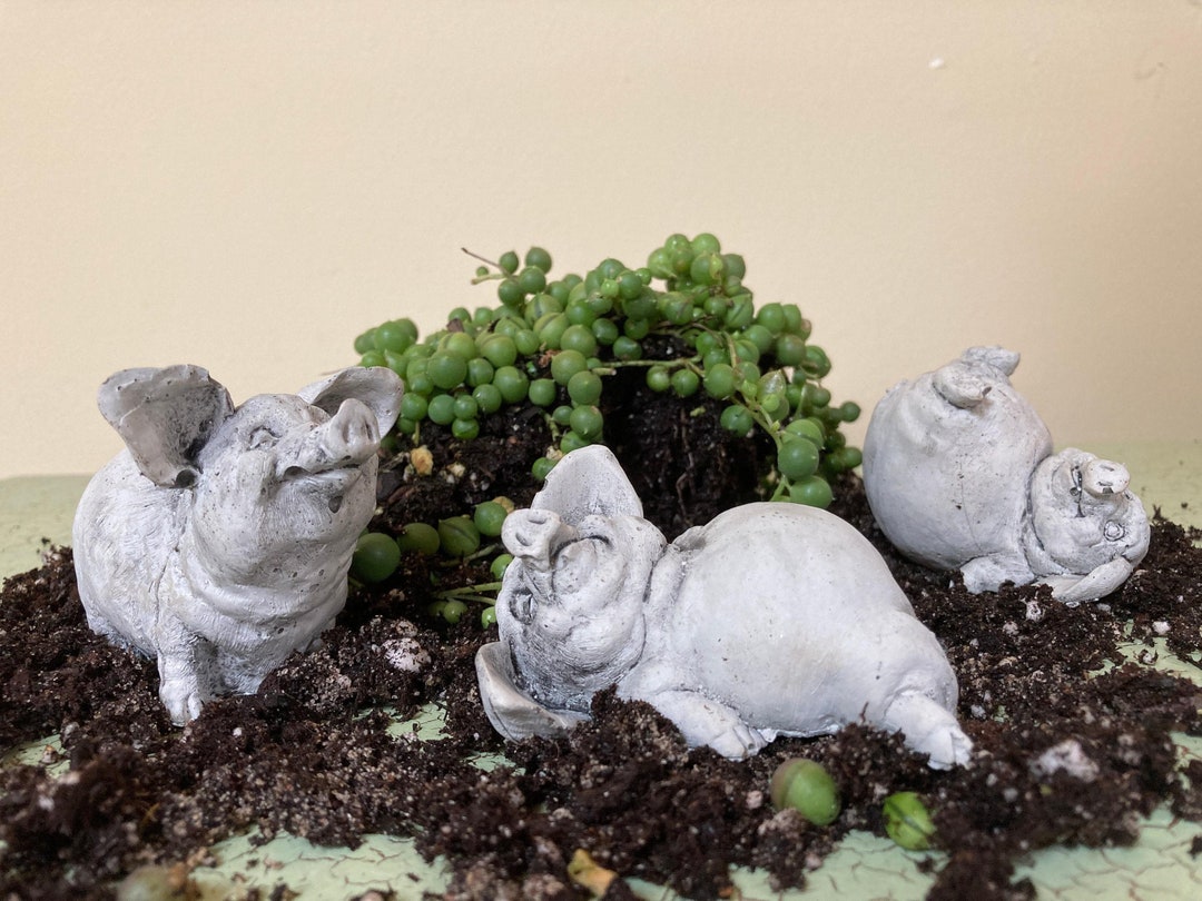 Set of 3 Happy Miniature Pigs | Mini Pig Statues | Mini Concrete Statue ...