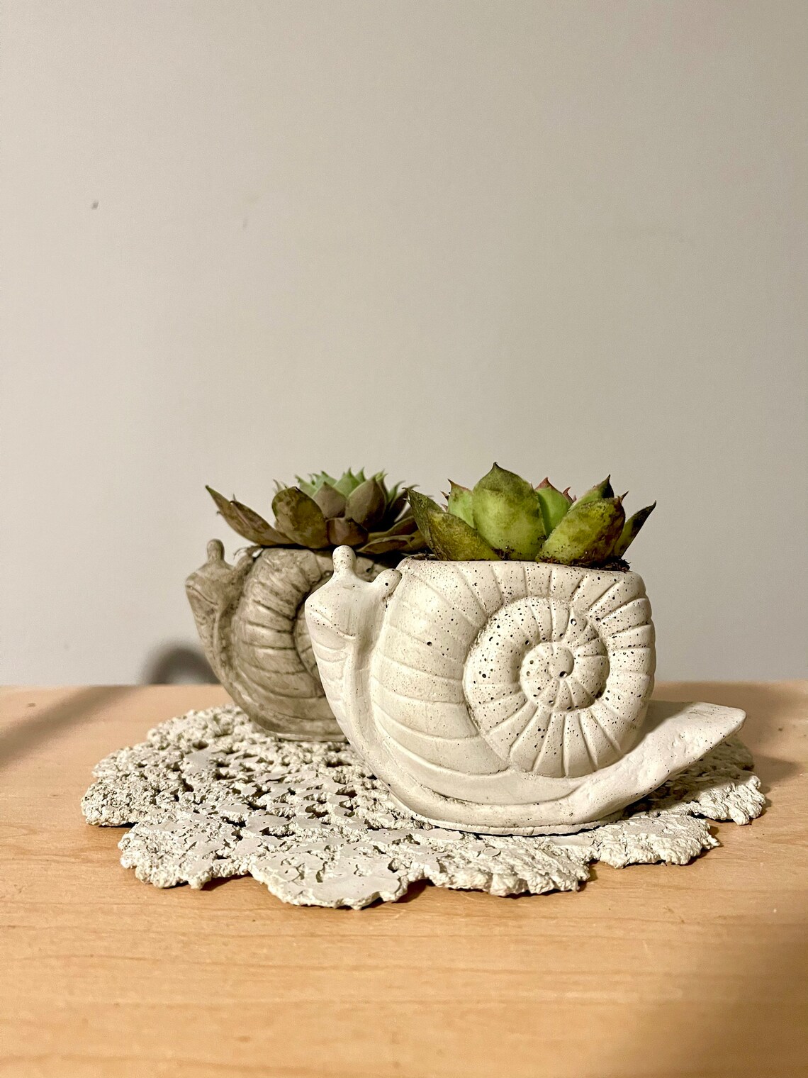 Snail Succulent Pot | Snail Succulent Planter | Succulent Planters ...