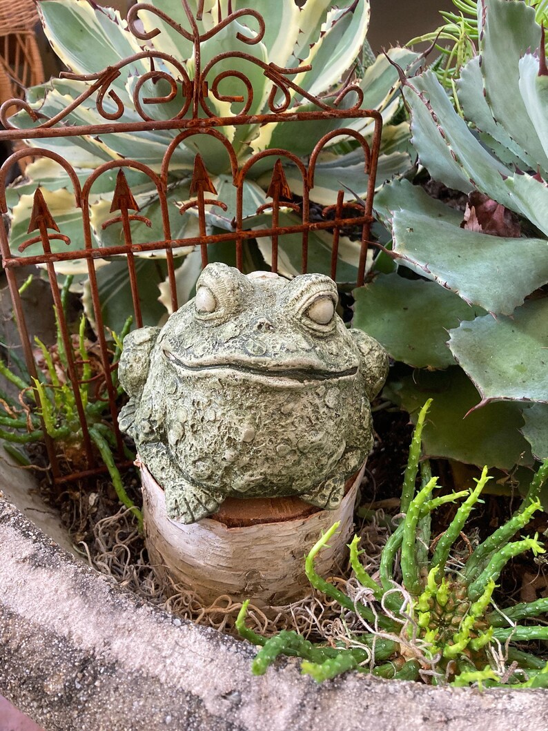 Large Spotted Bullfrog Toad Concrete Stone Garden Statue | Large Frog ...