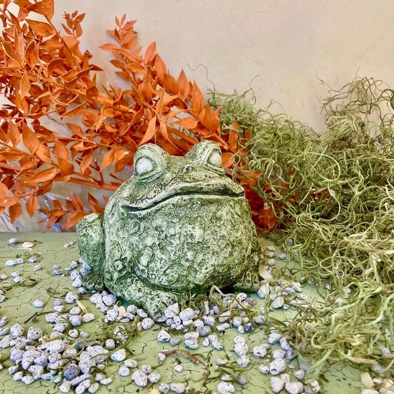 Concrete Toad - Etsy