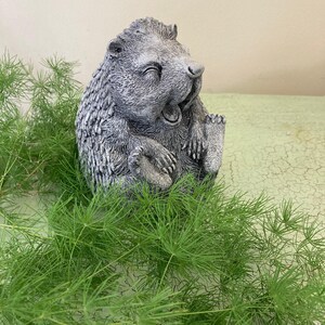 Happy Hedgehog Garden Statue | Large Cement Laughing Hedgehog Garden ...
