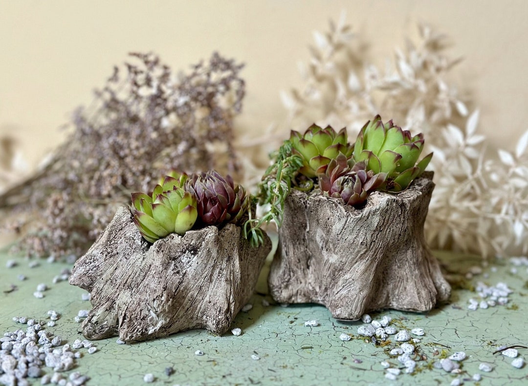 Tree Stump Planter Set | Brown Woodland Pots Made of Concrete Cement - Etsy