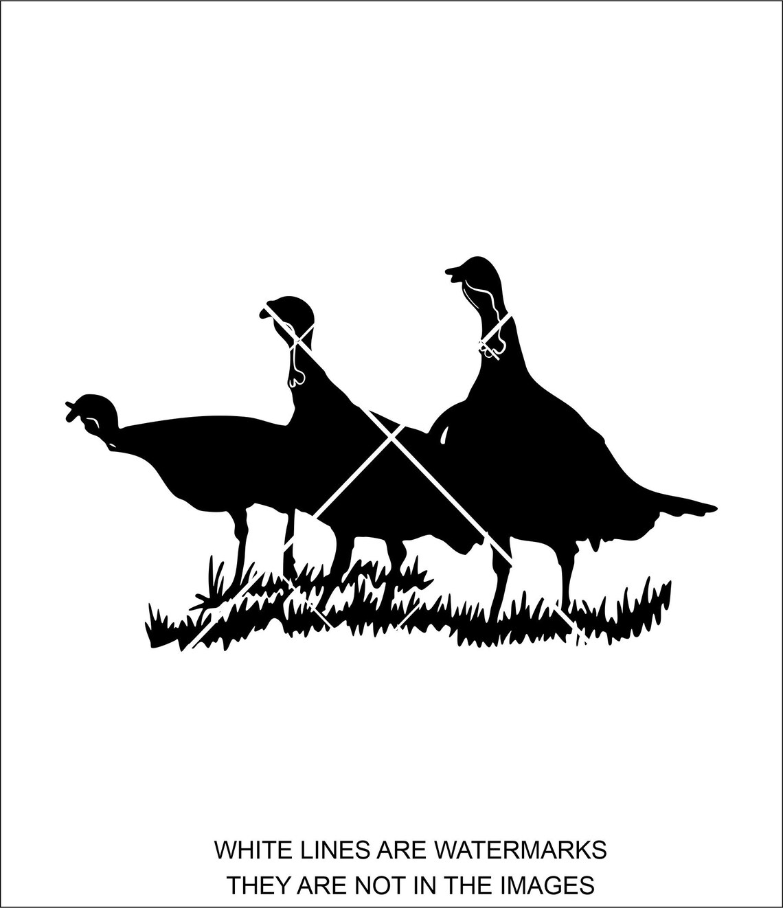 Turkey Turkeys Turkey Hunter Wild Turkeys Hunters - Etsy