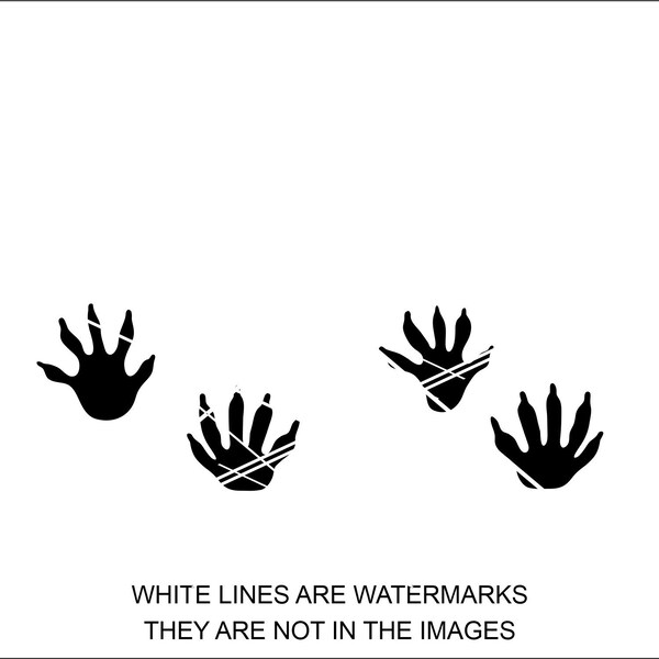 Raccoon Clip Art - Etsy